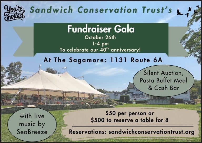 Events – Sandwich Conservation Trust